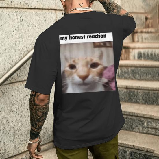 Honest Cat Meme Death Or Glory It's The Snooze Buttons Fault…