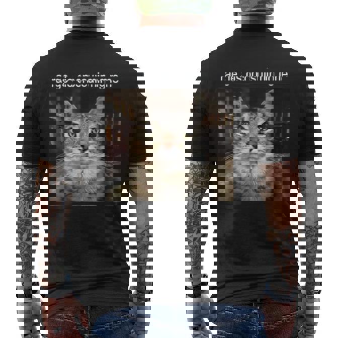 Rage Is Consuming Me Meme Cat Meme Oddly Specific Memes Joke Men's T ...