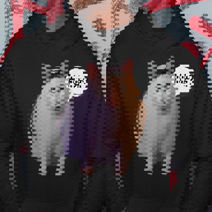 Huh Cat Meme Memes Internet Memes Cat Lover Joke Hoodie - Monsterry