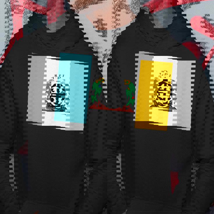 Hopi Nation Native American Indian Flag Reservation Arizona Hoodie ...