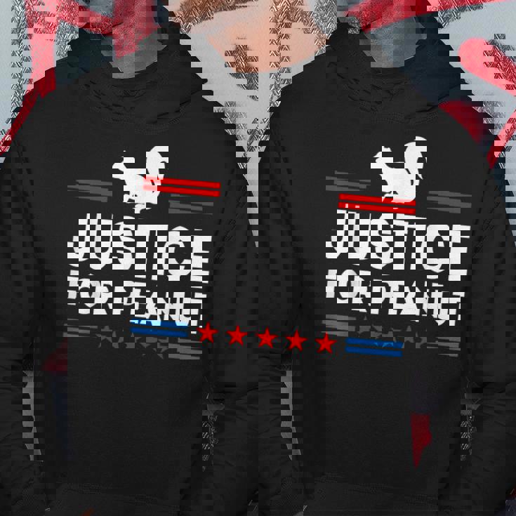 Justice For Peanut The Squirrels 2024 Hoodie | Mazezy