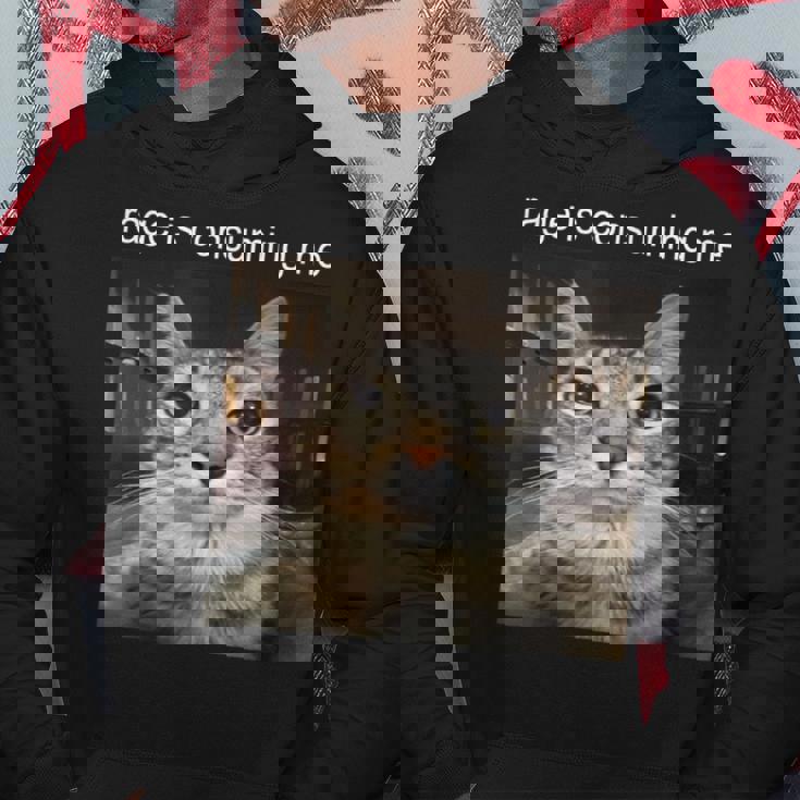 Rage Is Consuming Me Silly Staring Cat Meme Hoodie - Monsterry