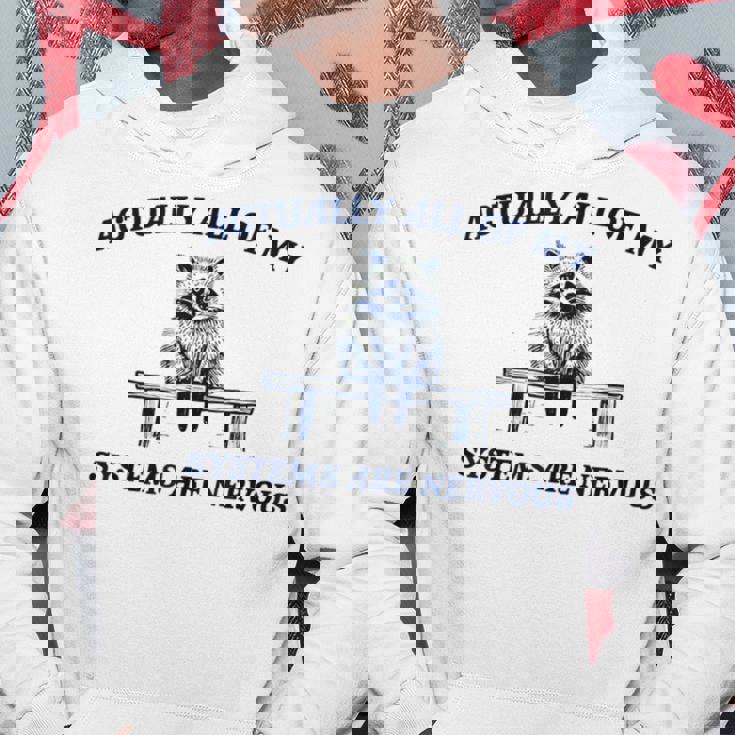 All Of My Systems Are Nervous System Joke Raccoon Meme Hoodie - Monsterry