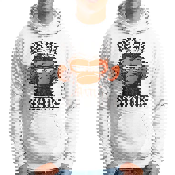 Humor Are You Serious Grumpy Monkey Meme T-Shirt | Mazezy