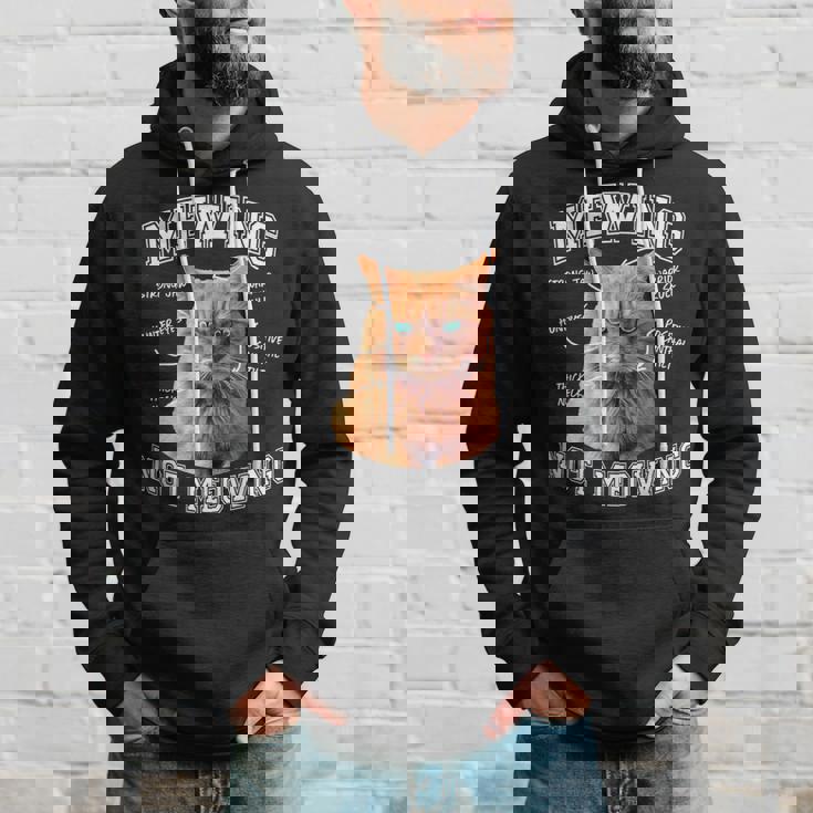 Mewing Not Meowing Cat Meme Looksmax Cat Joke Hoodie - Monsterry