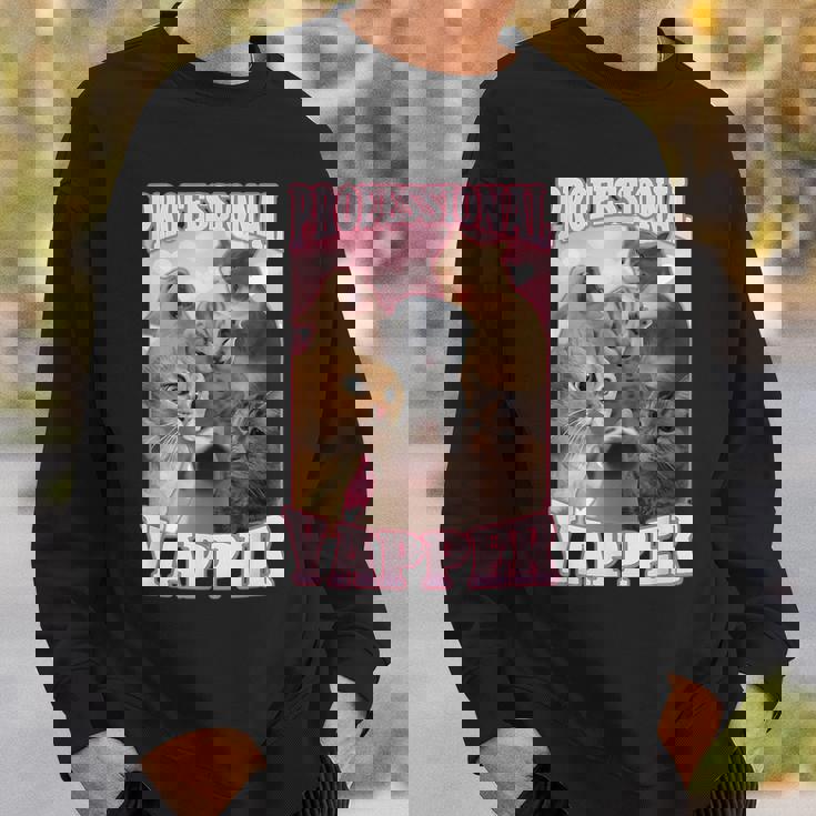 Professional Yapper Cat Meme Goofy Ahh Ironic Cat Sweatshirt - Thegiftio