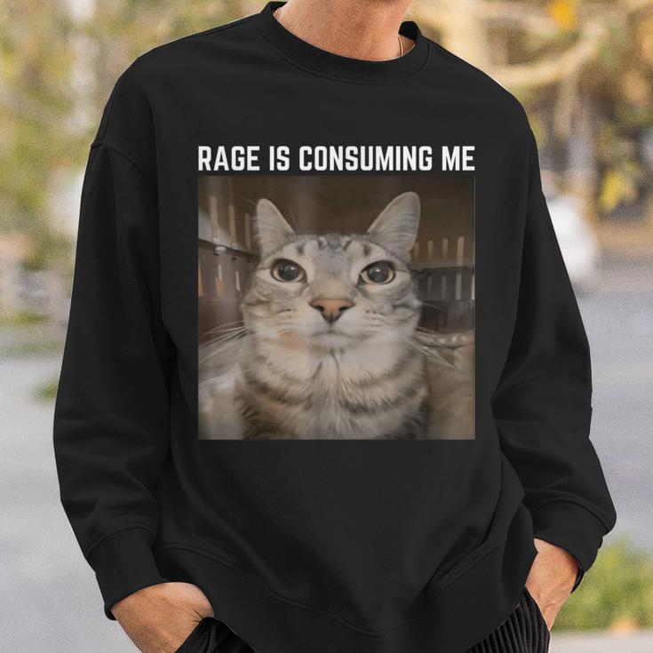 Rage Is Consuming Me Meme Cat Meme Oddly Specific Memes Joke Sweatshirt ...