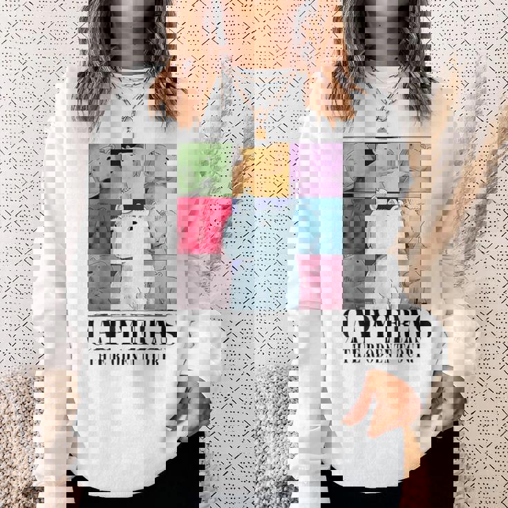 Capybara The Rodents Capy Tour Meme Graphic Summer Sweatshirt | Seseable UK