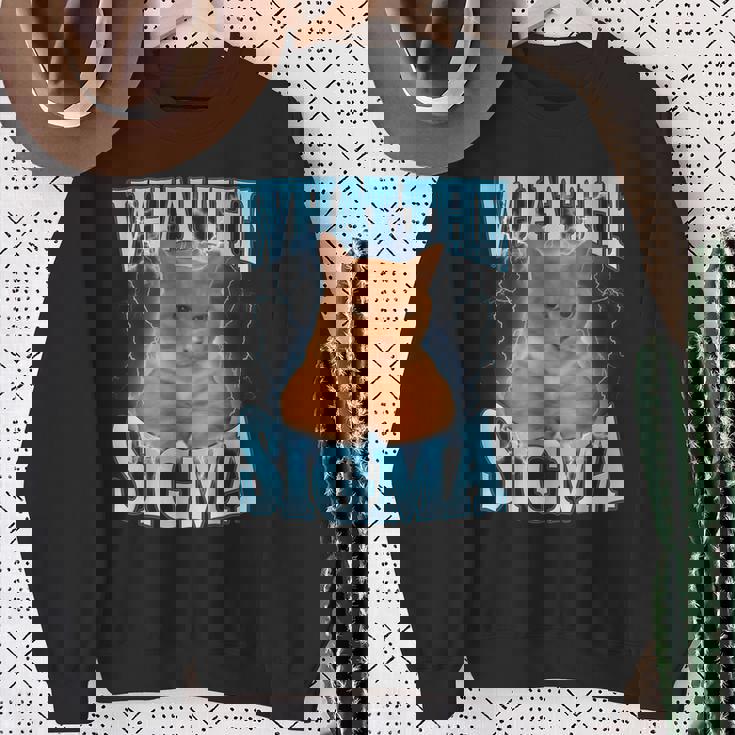 Erm What The Sigma Meme Cat Ironic Brainrot Y2k Sweatshirt - Monsterry