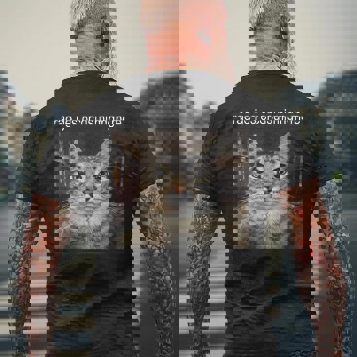 Rage Is Consuming Me Silly Staring Cat Meme Men's T-shirt Back Print ...