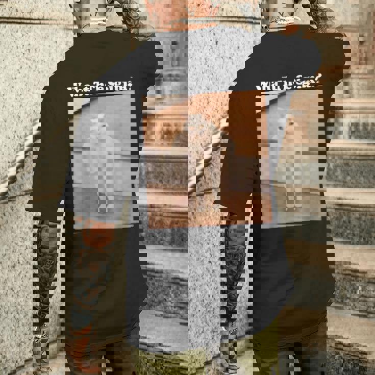 What Sigma Meme Cat Meme Internet Memes Meme Gen Z Pun Men's T-shirt ...