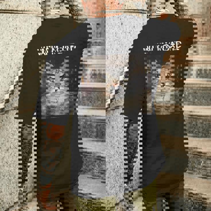 Wait I'm Goated Silly Cat Meme Men's T-shirt Back Print - Thegiftio