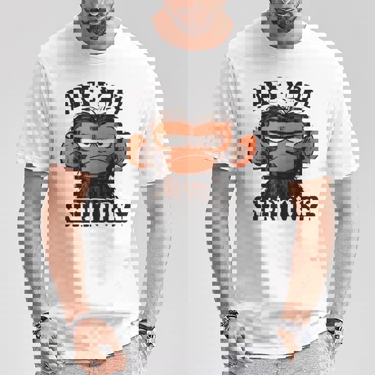 Humor Are You Serious Grumpy Monkey Meme T-Shirt | Mazezy