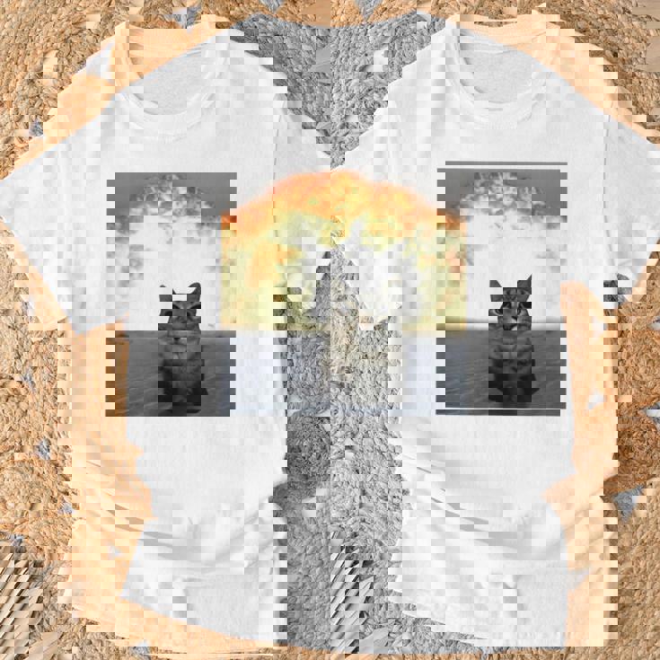 Goofy Cat Explosion T-Shirt - Monsterry